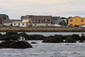 hydratec | Actualités